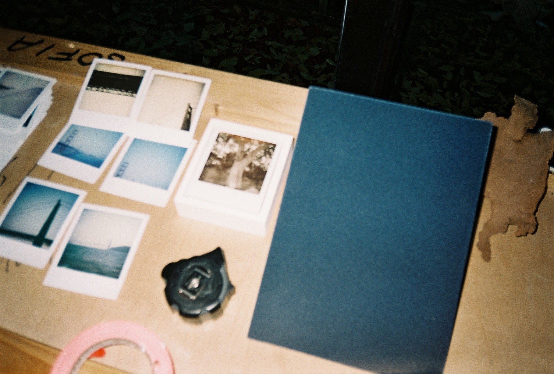 Journal: Amy Stephens by Anna Souter — DATEAGLE ART