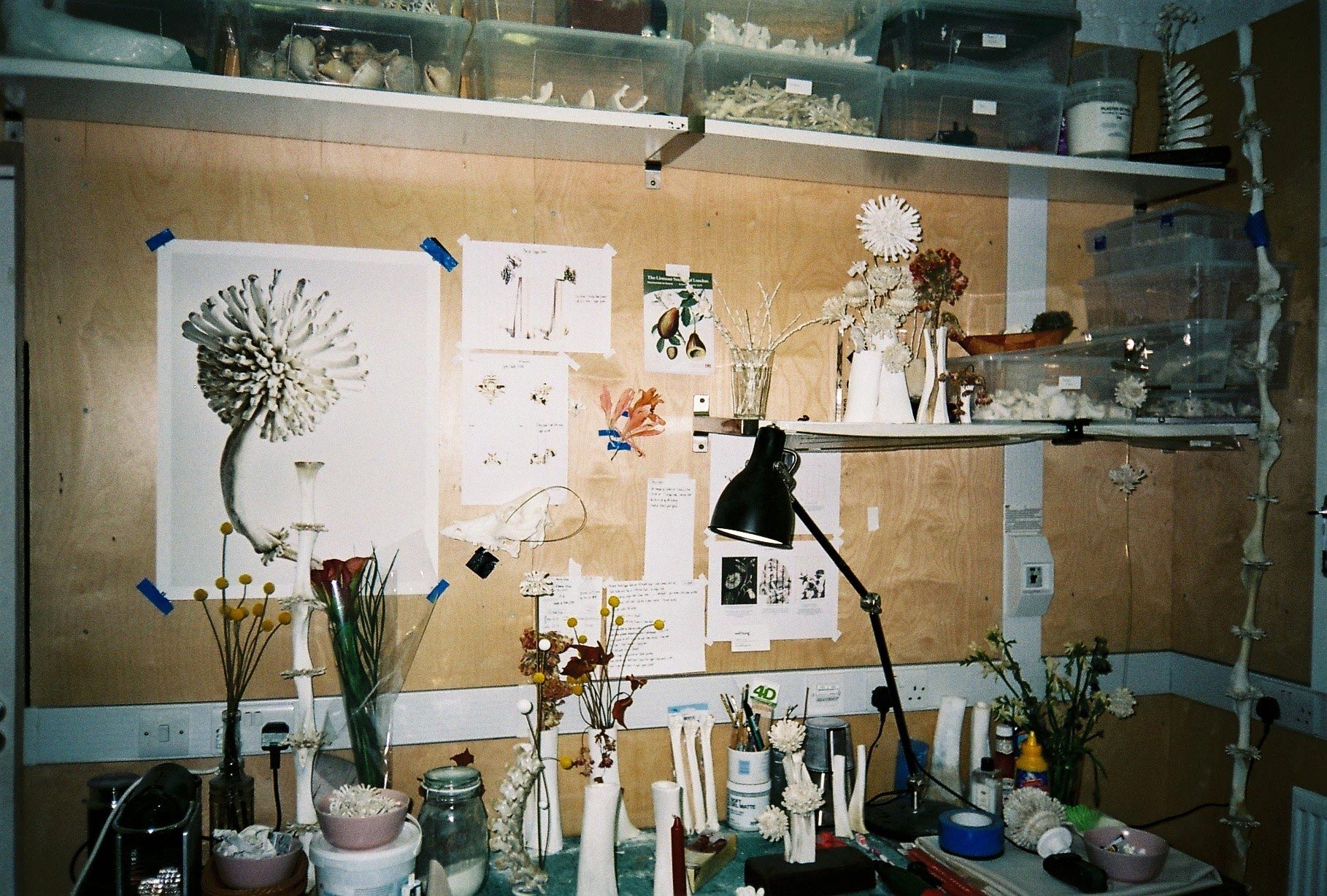 Journal: Emma Witter by Anna Souter — DATEAGLE ART