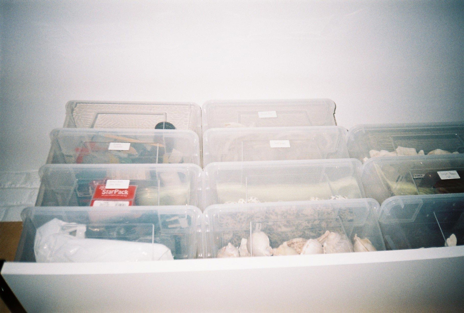 Journal: Emma Witter by Anna Souter — DATEAGLE ART