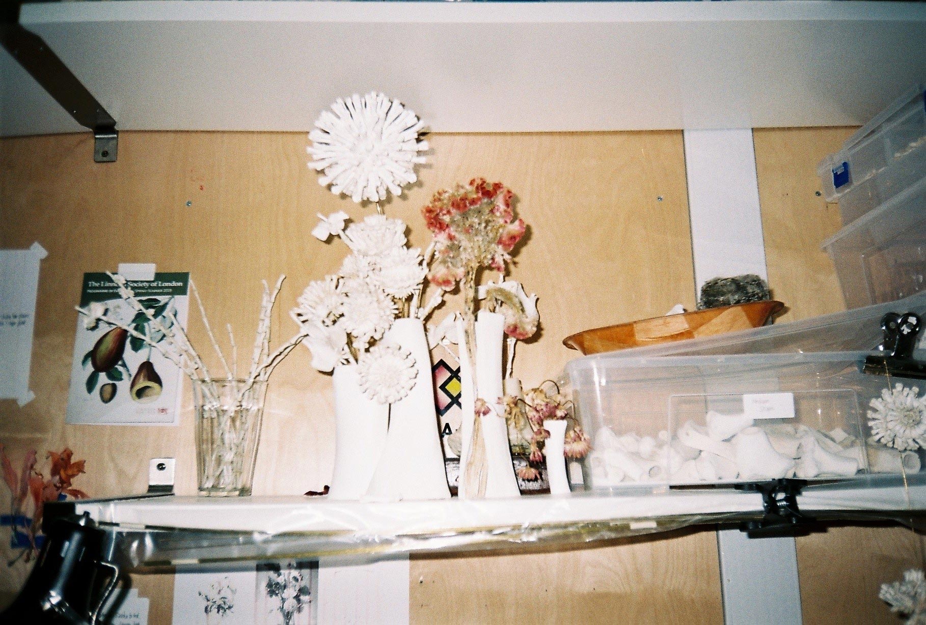 Journal: Emma Witter by Anna Souter — DATEAGLE ART