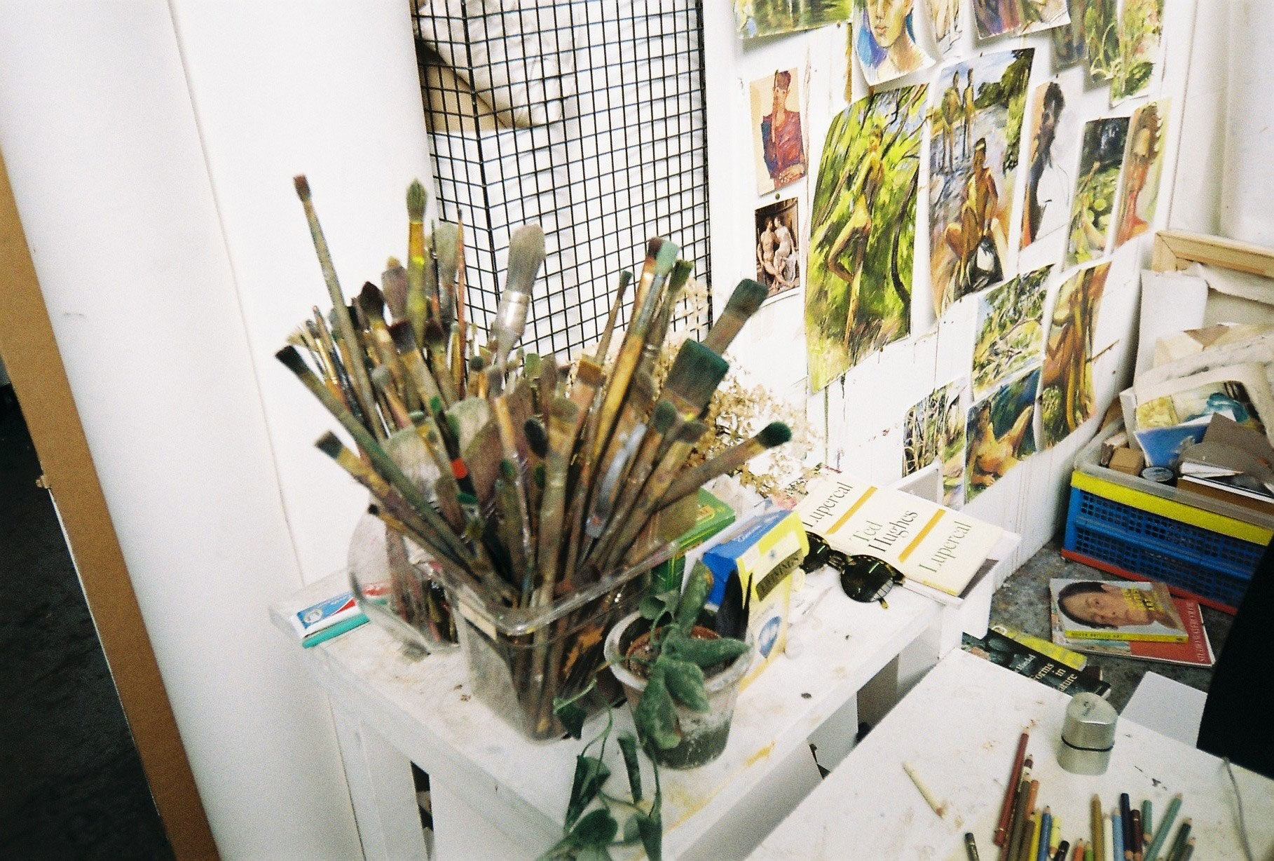 Journal: Jake Grewal by Anna Souter — DATEAGLE ART