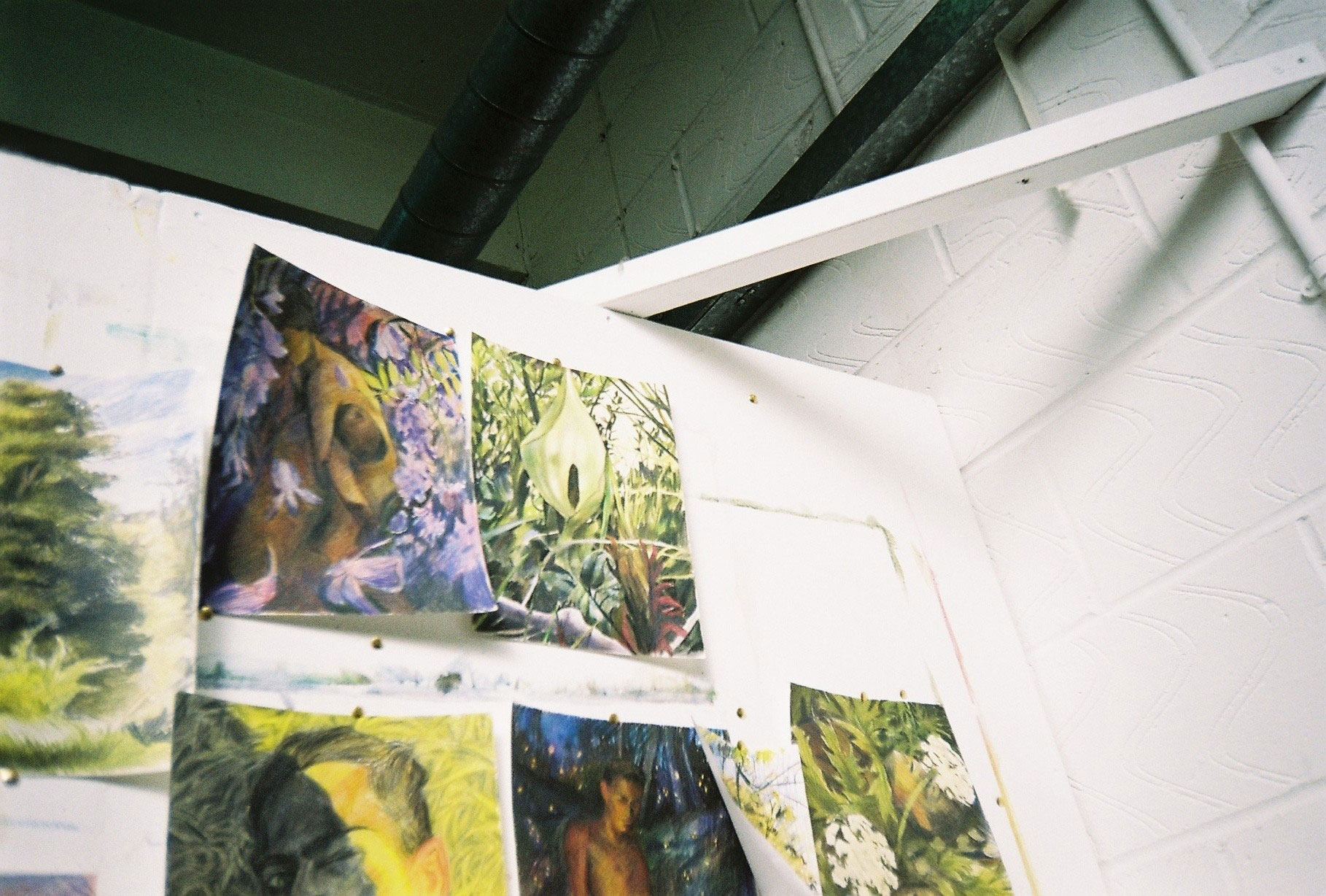 Journal: Jake Grewal by Anna Souter — DATEAGLE ART