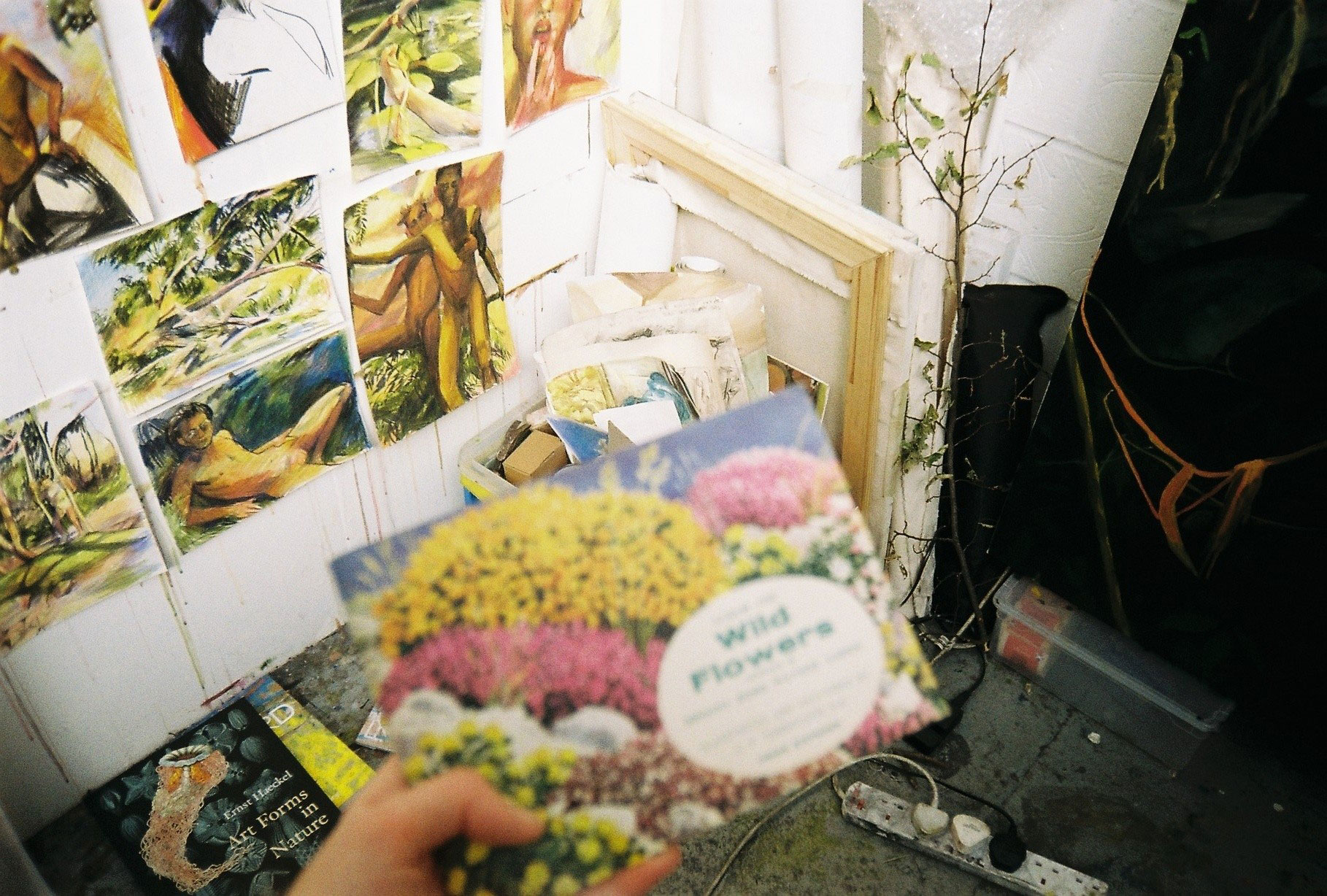 Journal: Jake Grewal by Anna Souter — DATEAGLE ART