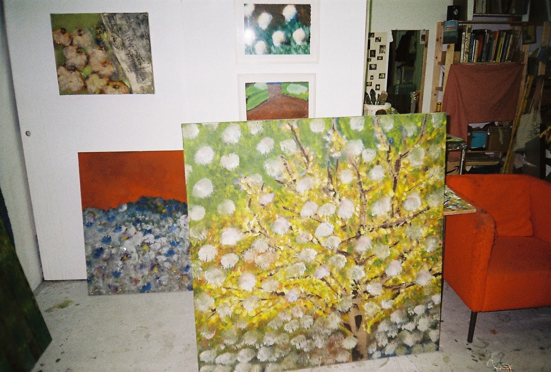 Journal: Diane Chappalley by Anna Souter — DATEAGLE ART